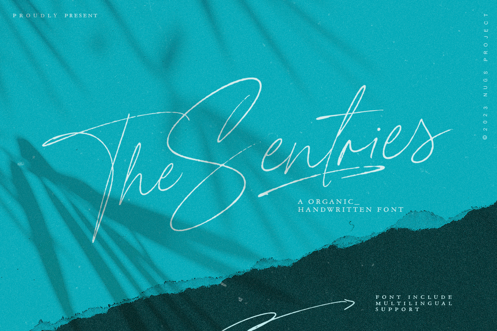 The Sentries | Nugs Studio